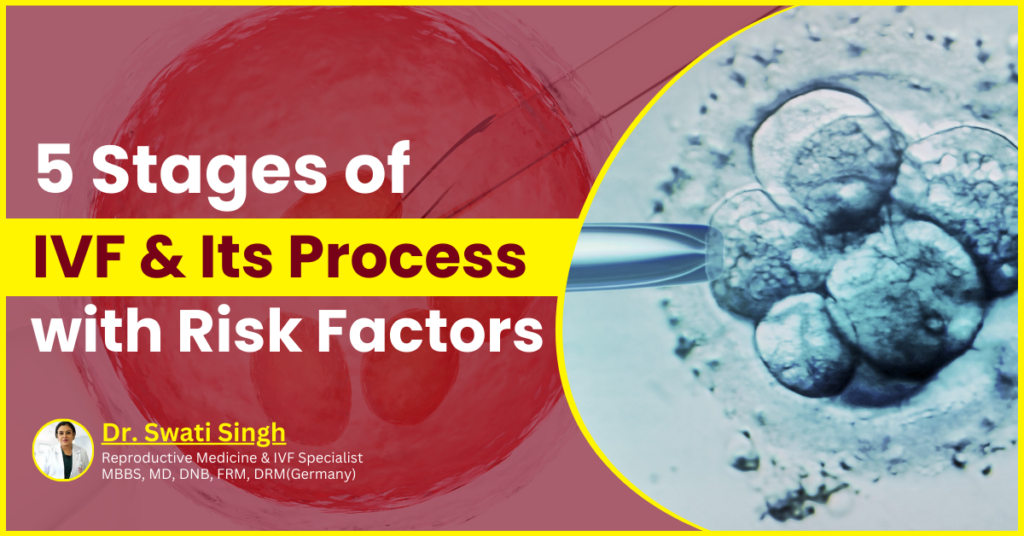What are The 5 Stages of IVF and It's Process 2026
